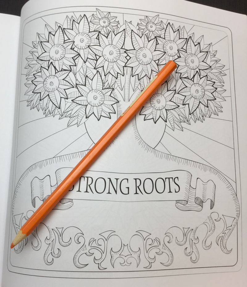 Color and Conjure Coloring Book Review | Coloring Queen