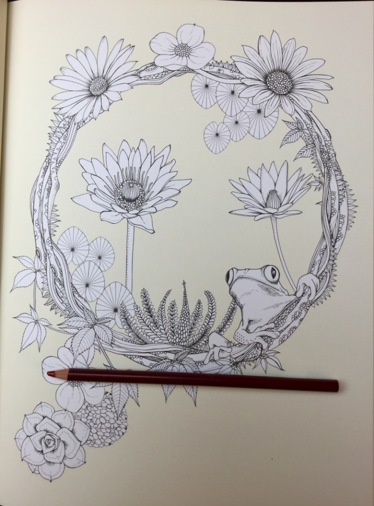 Into the Wild Coloring Book Review - Coloring Queen