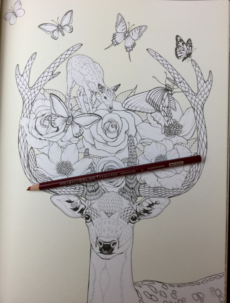 Into the Wild Coloring Book Review - Coloring Queen