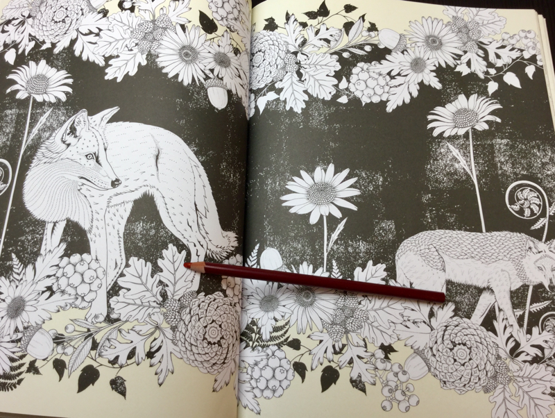 Into the Wild Coloring Book Review | Coloring Queen