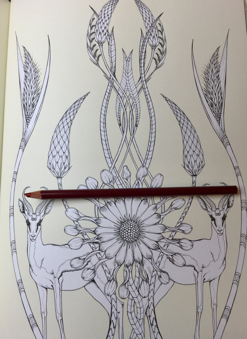 Into the Wild Coloring Book Review - Coloring Queen