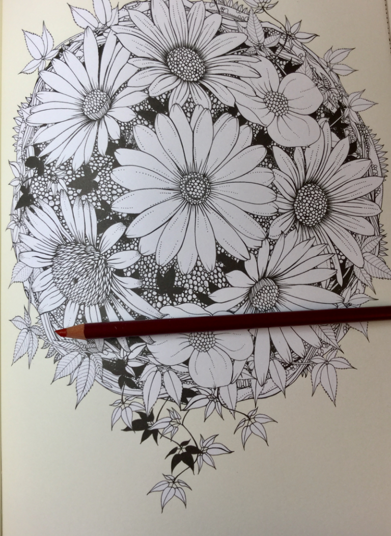 Into the Wild Coloring Book Review - Coloring Queen