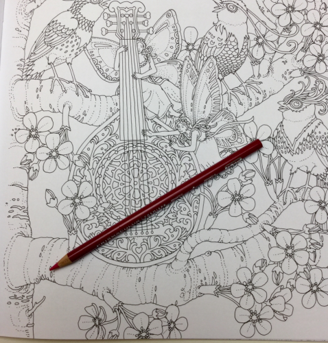 Vilin San Coloring Book Review - Coloring Queen