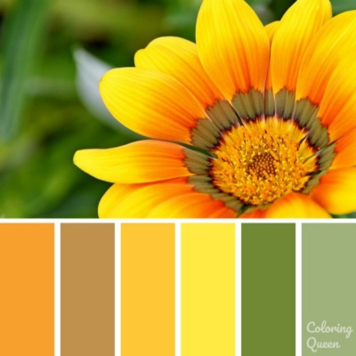 Color Schemes - Coloring Queen