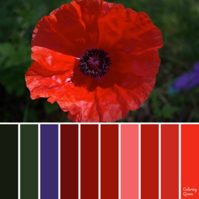 Color Schemes - Coloring Queen