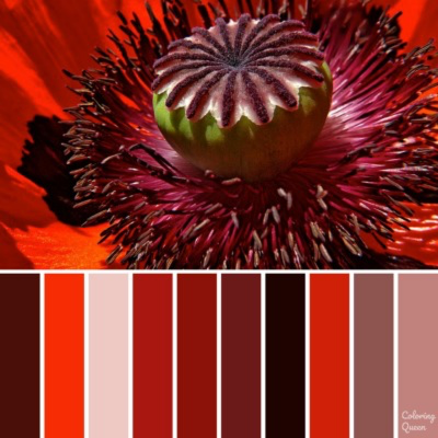 Color Schemes - Coloring Queen