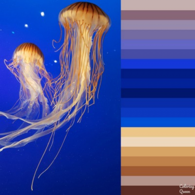 Color Schemes | Coloring Queen