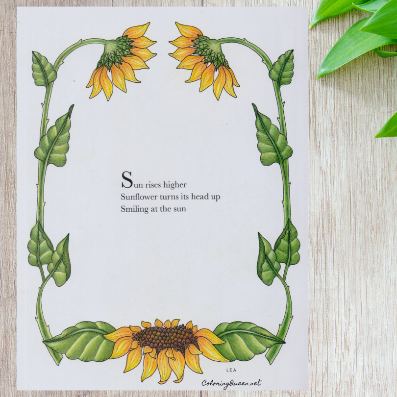 Flower Haiku Coloring Book Review - Coloring Queen