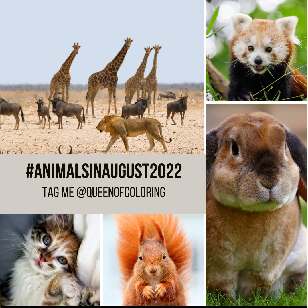 Animals in August 2022 Color Along - Coloring Queen