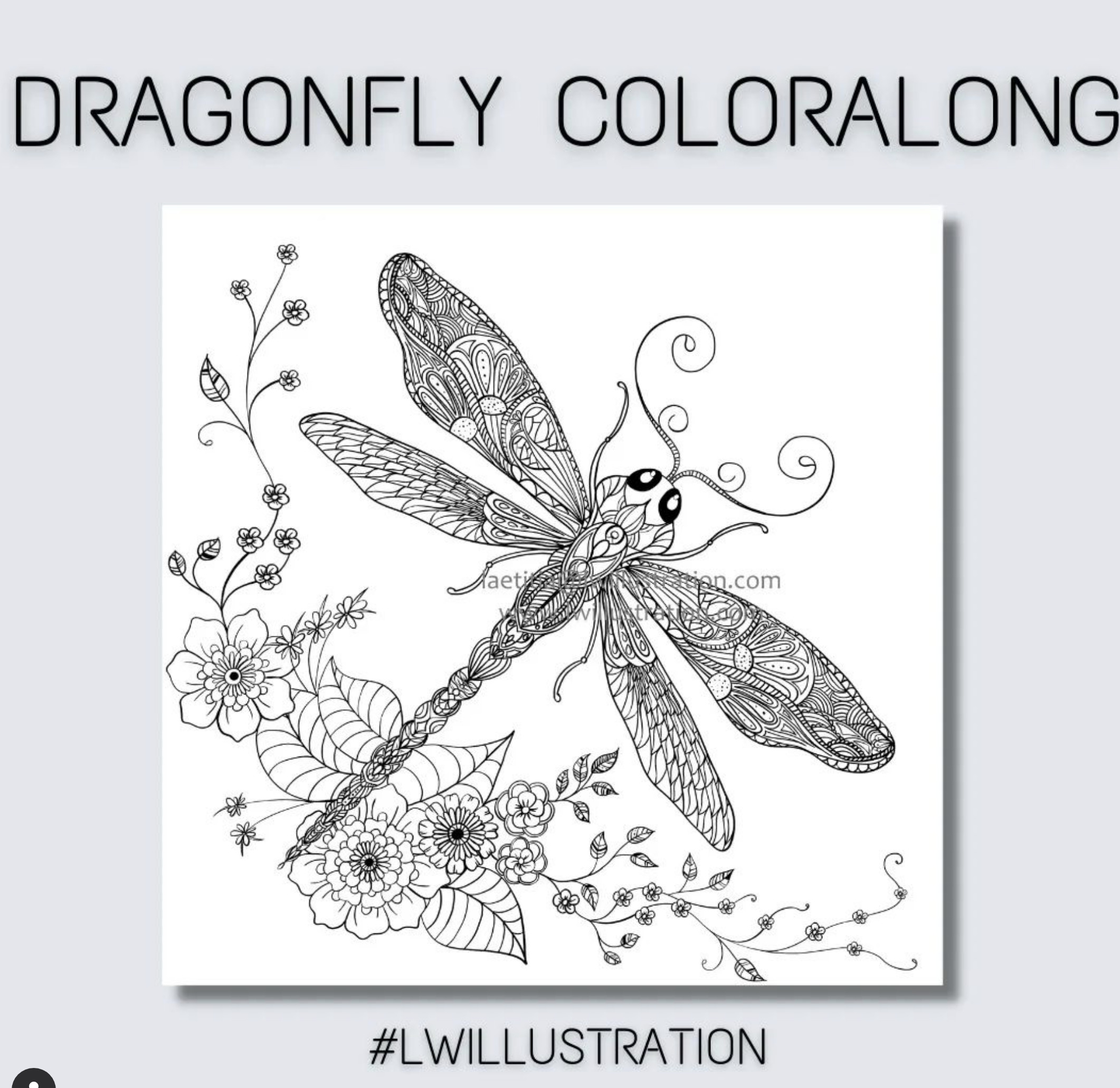 LW Illustration Color Along - Coloring Queen