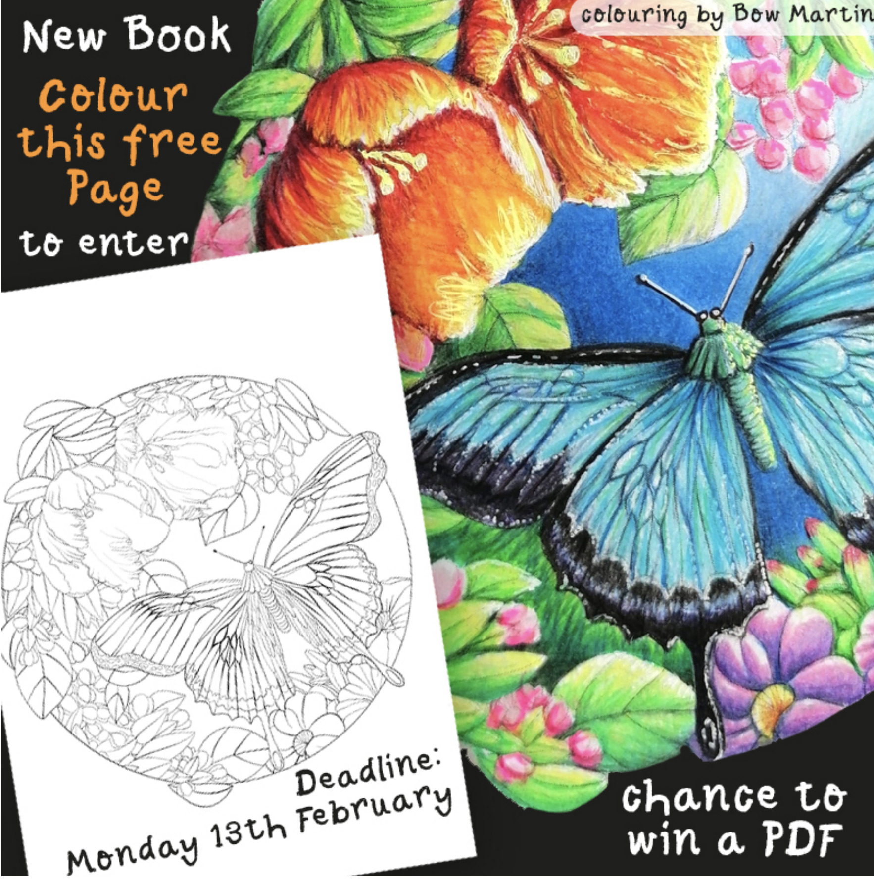 Tropical Flowers and Butterfly - Colouring and Tangling Colouring ...