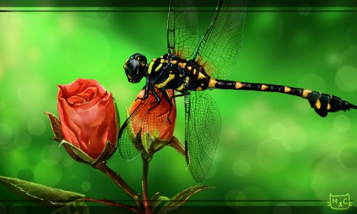 Colors Live - Rose Garden Dragonfly by Miyuki Chan