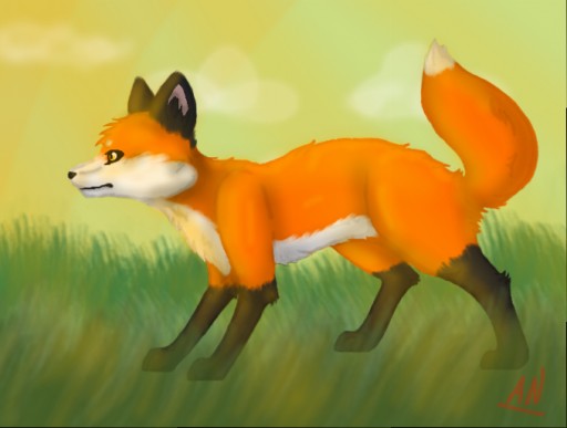 Colors Live - Sun Fox by Kuruki9TG