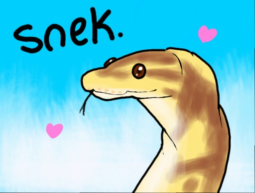 Colors! Live - booplesnoot by Petrichare