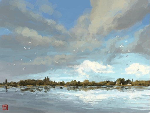 Colors Live - Gulls Over Trench Pool by Munin