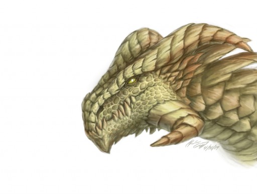 Colors Live - Terram by FadingGlory