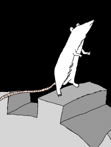 Colors Live - Blind Rat by Midna