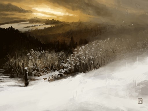 Colors Live - Winter Colours, Tree Lines At Dusk by Munin