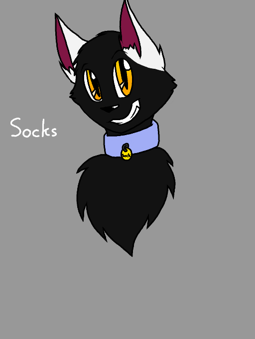 Colors Live - Socks the white-tipped black cat by MagickVenn