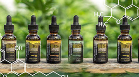 Deals - Weekly Ad - Unbeatable Buys | Lewis