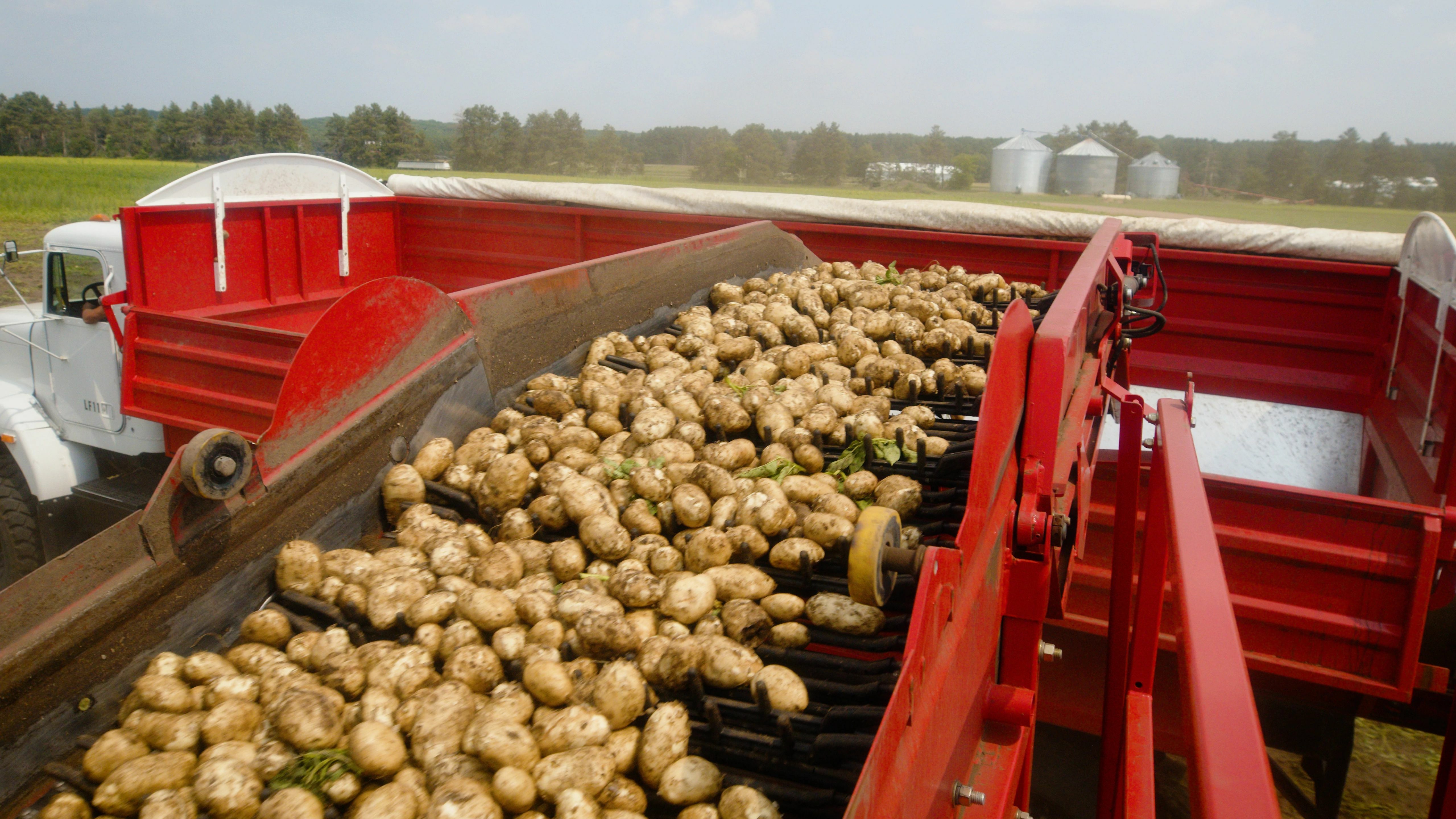 A Pivotal Piece in RDO's Puzzle: Sherri Tatro… | RD Offutt Farms