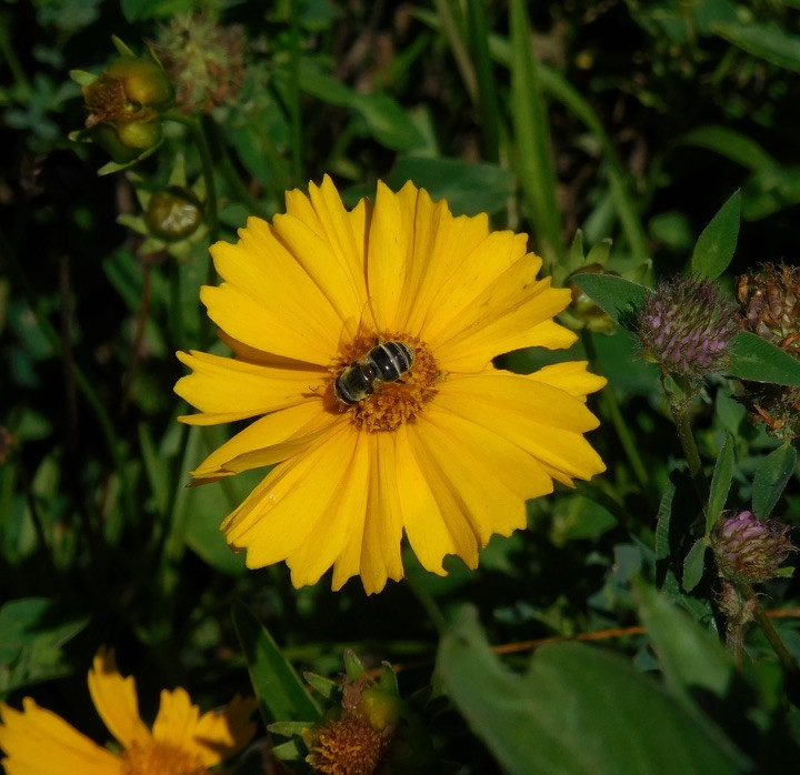 Promoting Land Sustainability and Stewardship | RD Offutt Farms