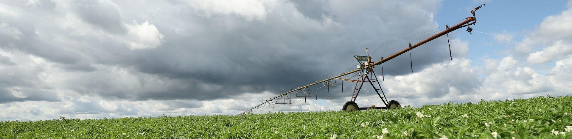 Through the eyes of RDO farmers: the impact of 2024… | RD Offutt Farms