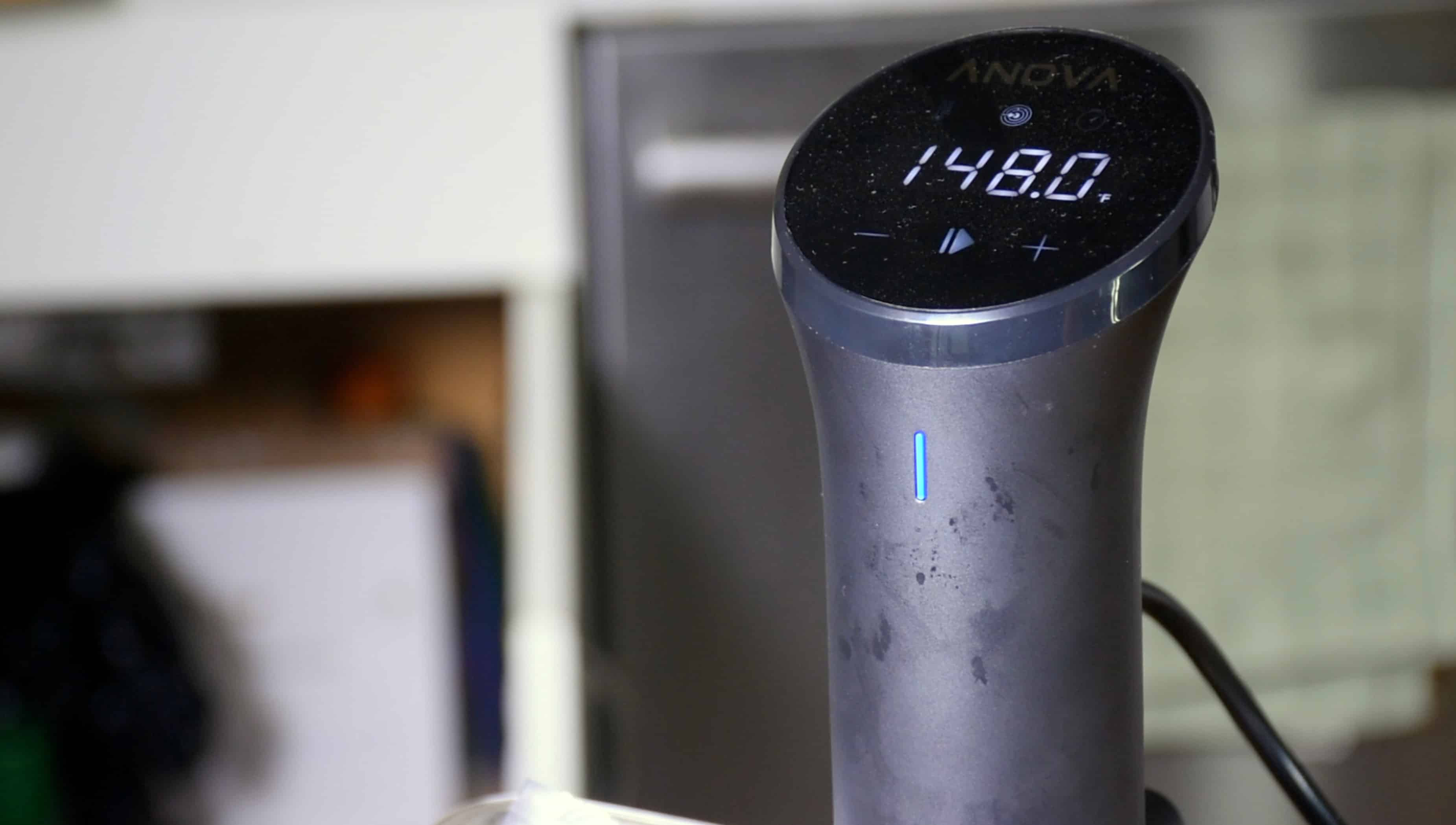 Detailed Anova Nano Review and Recommendation