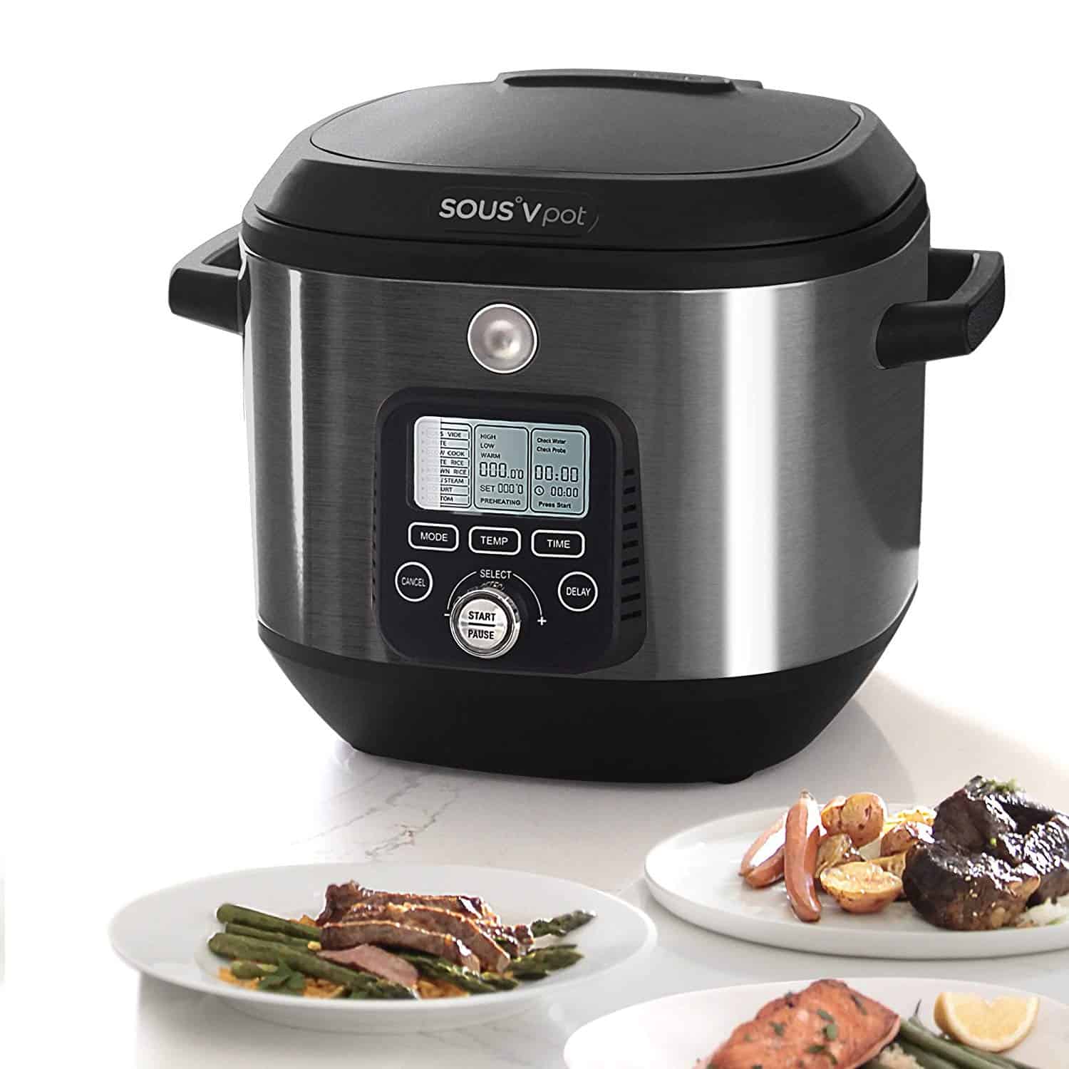 Detailed SOUSV pot Review and Recommendation