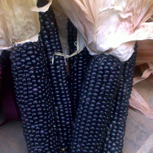 Black Popcorn