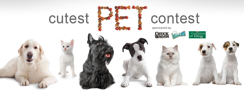 Cutest Pet Contest