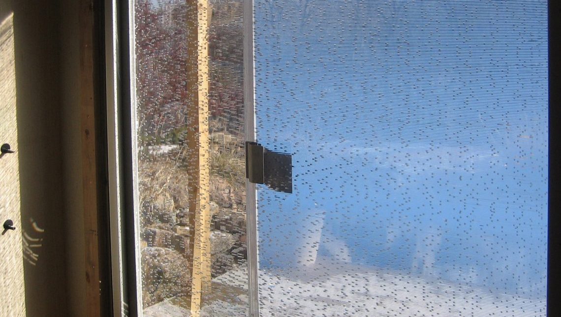 Private Residence: Illuminated Entry Door – Sensitile