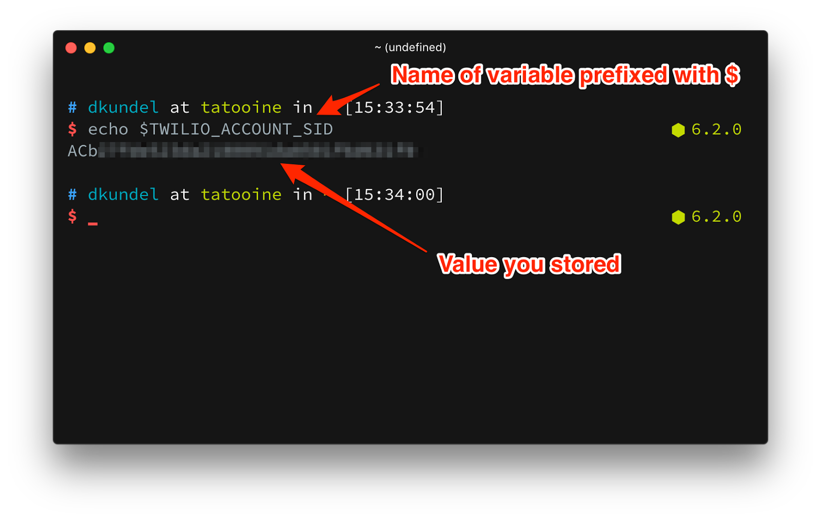 How To Set Environment Variables Twilio