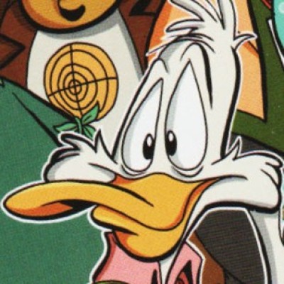 Drake Mallard