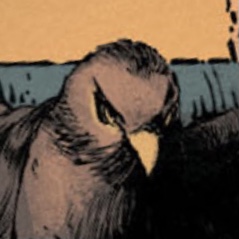 Talon (Prime Earth) - DC Comics