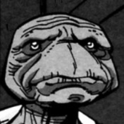 Leonardo as Old Leonardo (TMNT) - IDW Publishing