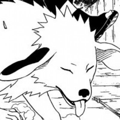 Akamaru (Naruto) - Shueisha