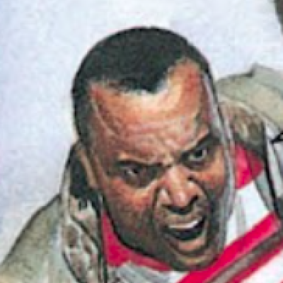 Stripes (Earth-22) - DC Comics