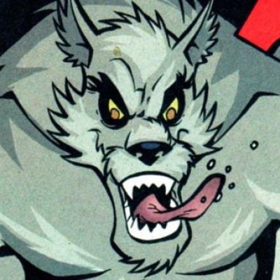 Mister Wolf (Teen Titans Animated) - DC Comics