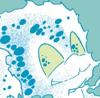 Krakkl (Prime Earth) - DC Comics