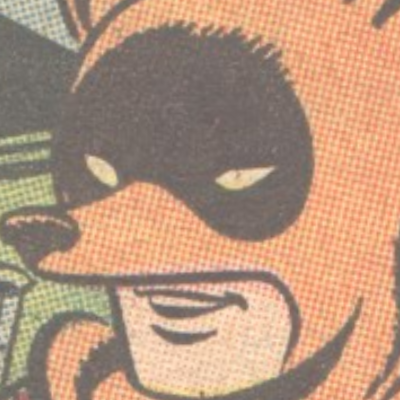 Bruce Wayne as Flying Fox (Earth-0) - DC Comics