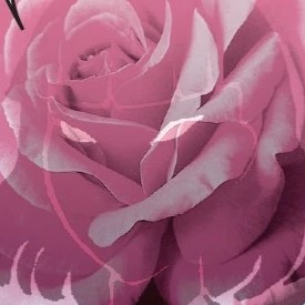 Rose (Earth-16356) - Marvel Comics