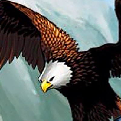 Freedom (G.I. Joe) - IDW Publishing