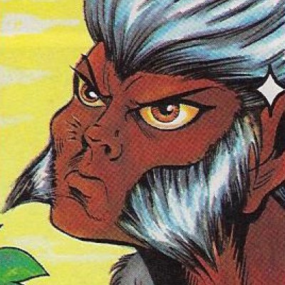 Graywolf (ElfQuest) - Warp Graphics