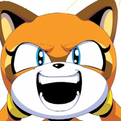 Marine the Raccoon (Sonic the Hedgehog) - IDW Publishing