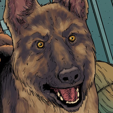 Ace (Prime Earth) - DC Comics