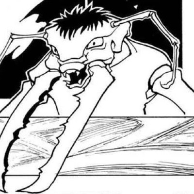 Small Beetle (Hunter x Hunter) - Shueisha