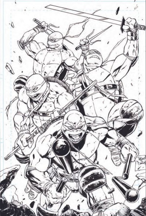 Ultimate TMNT Box Set (Torpedo Comics) - Daniels Cover Reviews