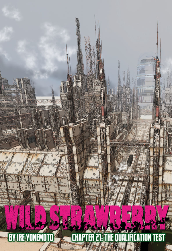 Kyoji Shibata (Wild Strawberry) - Shueisha