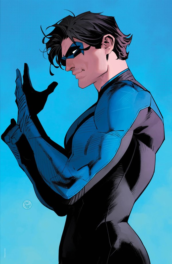 Young Justice Nightwing Fan Art